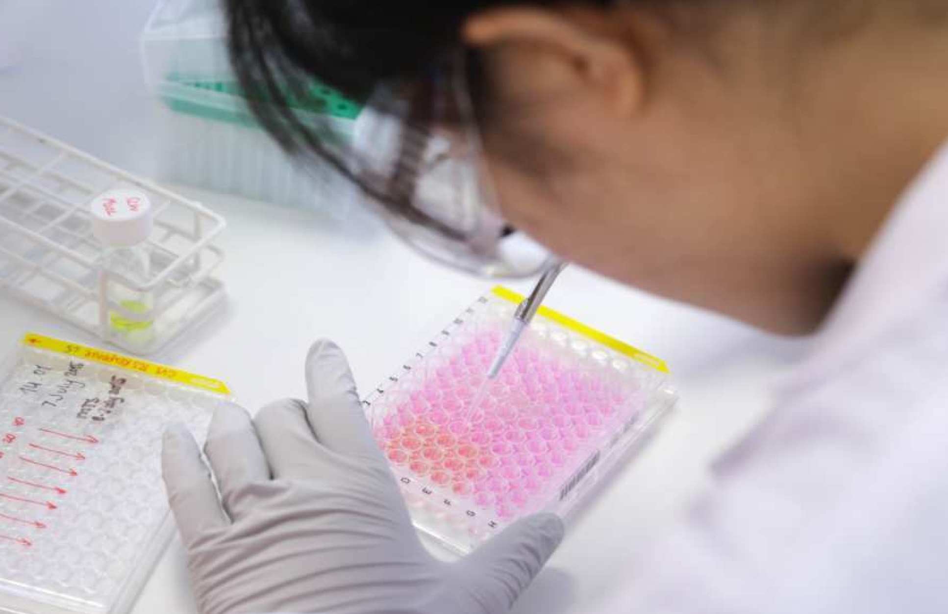 The key to a happy lab life is in the manual - DEMENTIA RESEARCHER