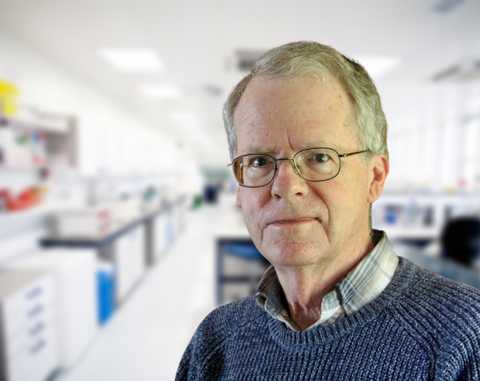 Profile – Dr Daniel Gibbs, Alzheimer’s Association - DEMENTIA RESEARCHER
