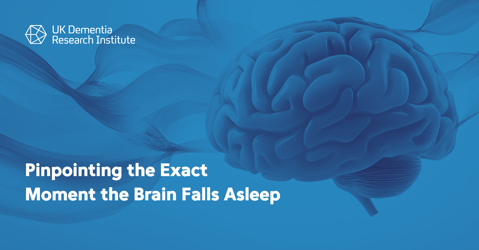 UKDRI Scientists uncover how the brain falls asleep